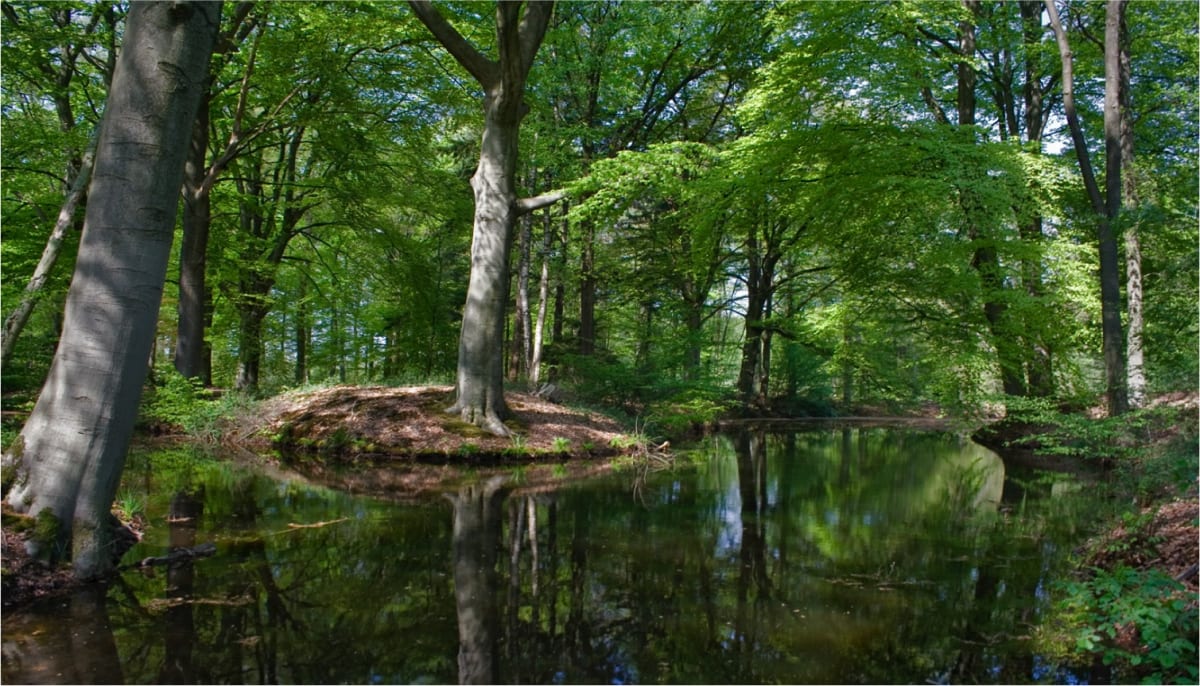 Natuurbegraafplaatsen van Waarde - Eeuwige grafrust - Geen zorgen